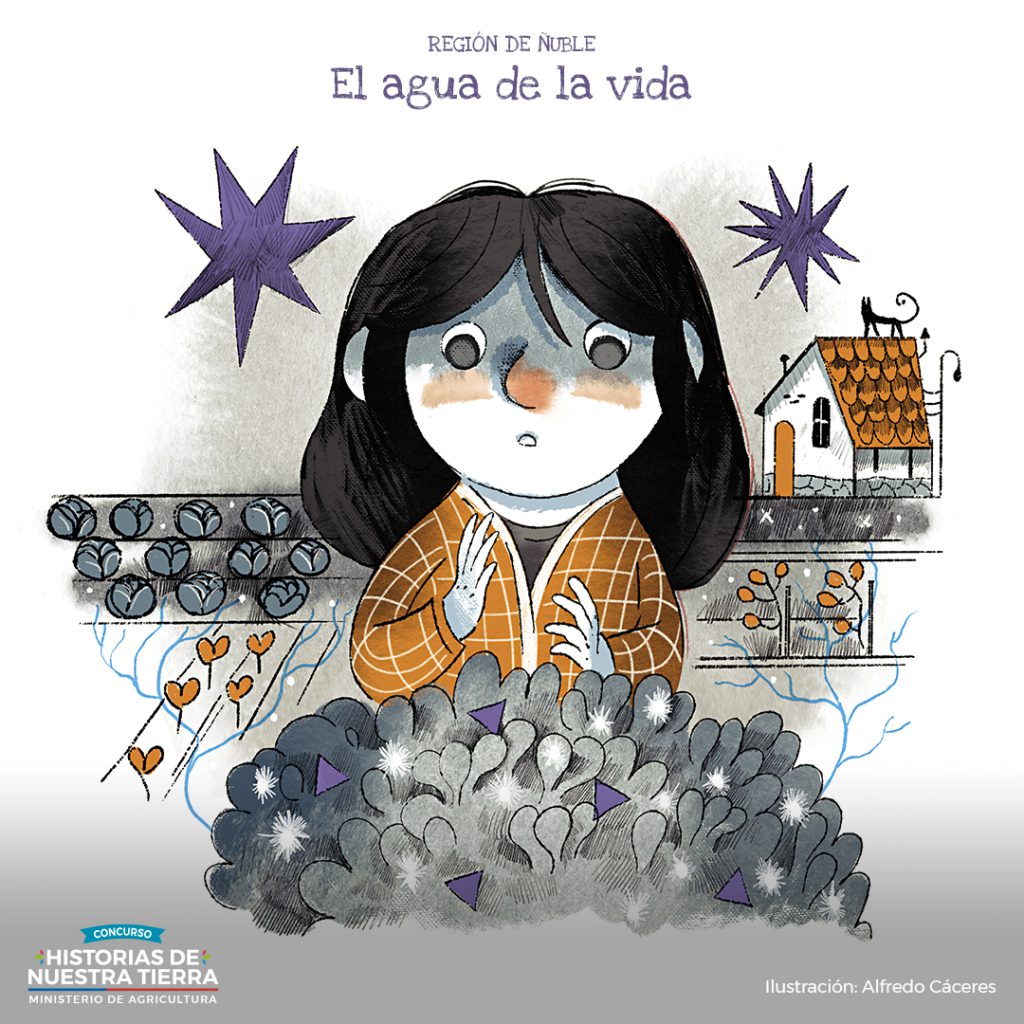 El agua de la vida – Historias Nuestra Tierra